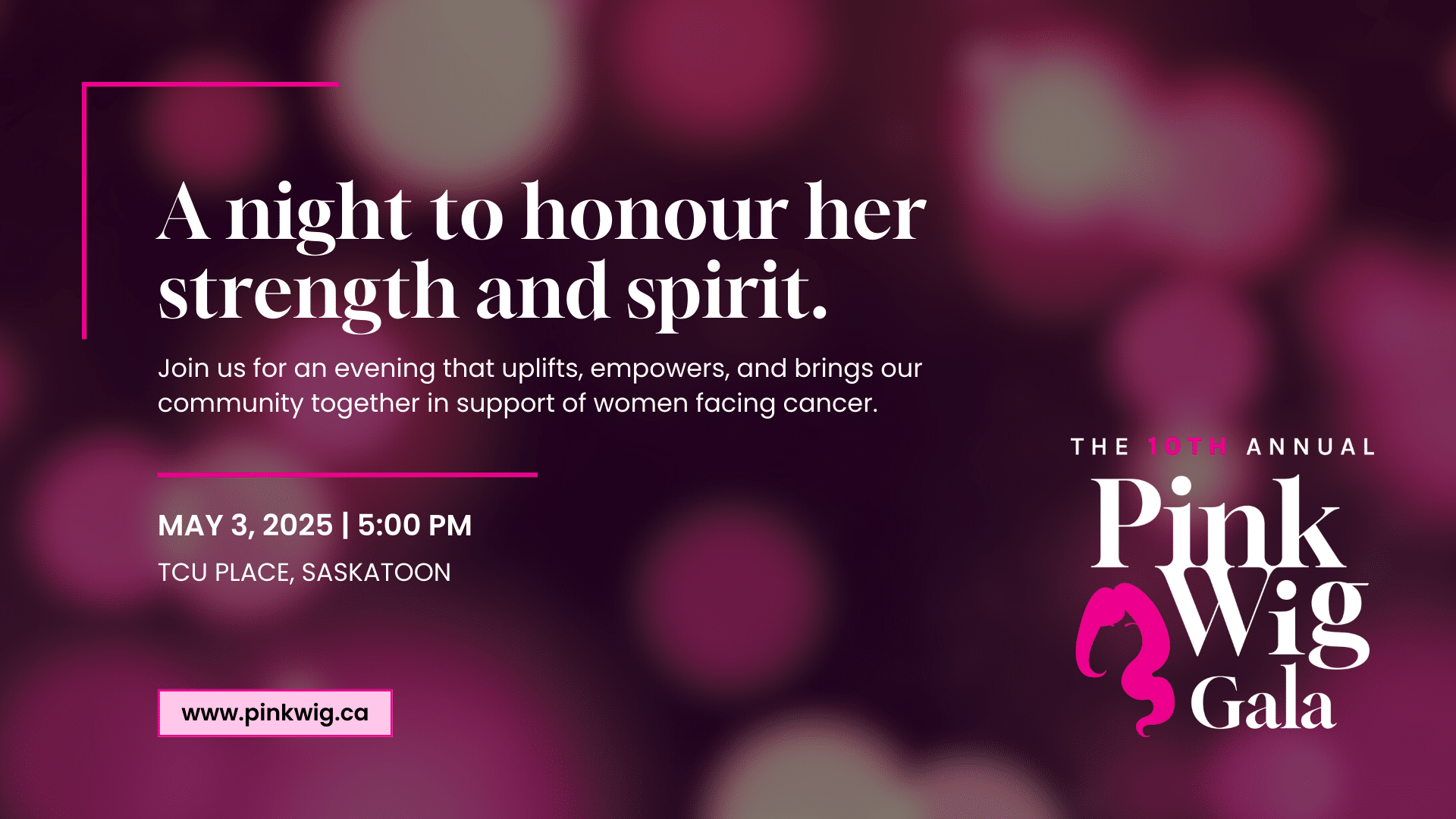 The Tenth Annual Pink Wig Foundation Gala - Pink Wig Foundation